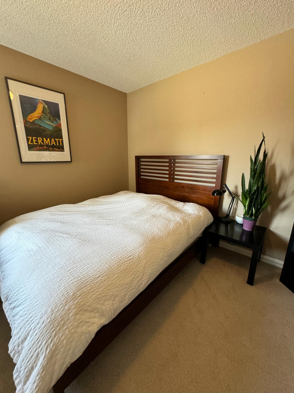 Housing Board | Ambrose University